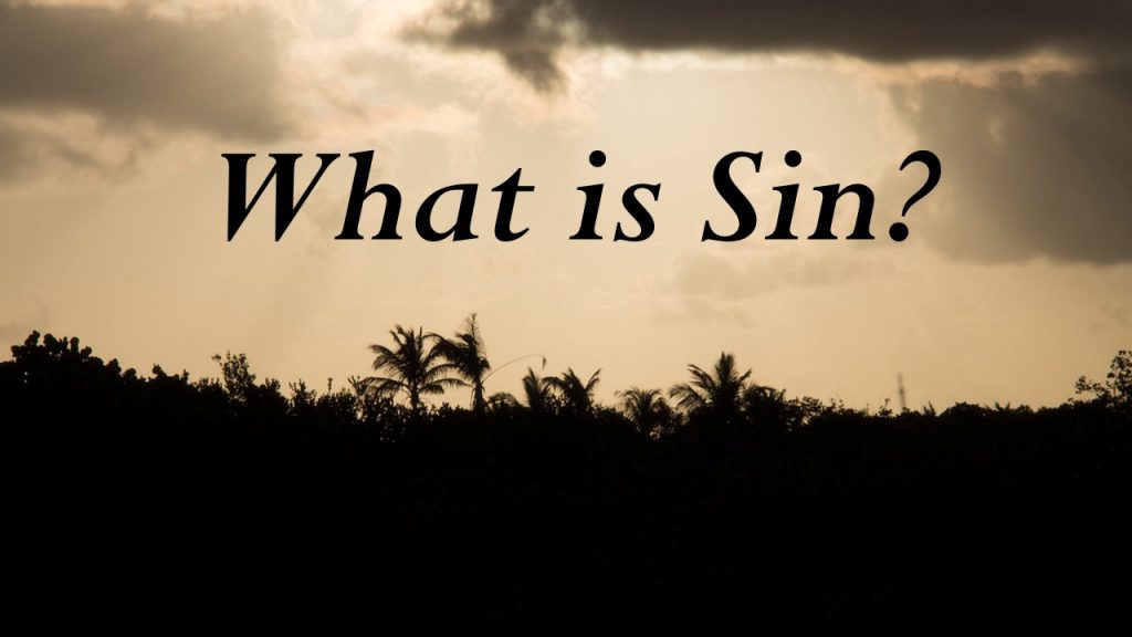 What is Sin? - Lawton Books